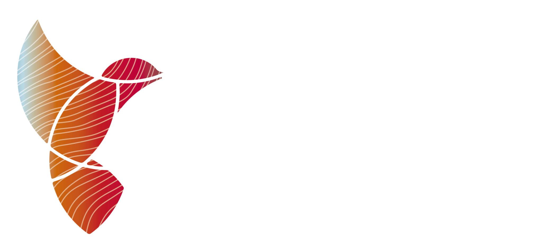 Mareamaresme | Programa Ocell de Foc del Maresme